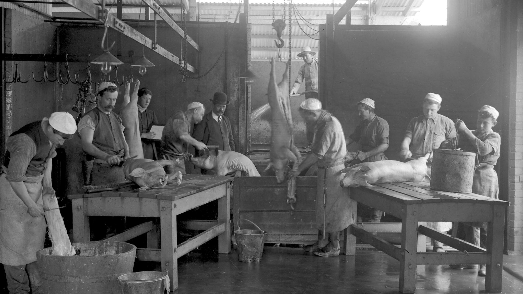 Slaughterhouse Rules - Storyplace