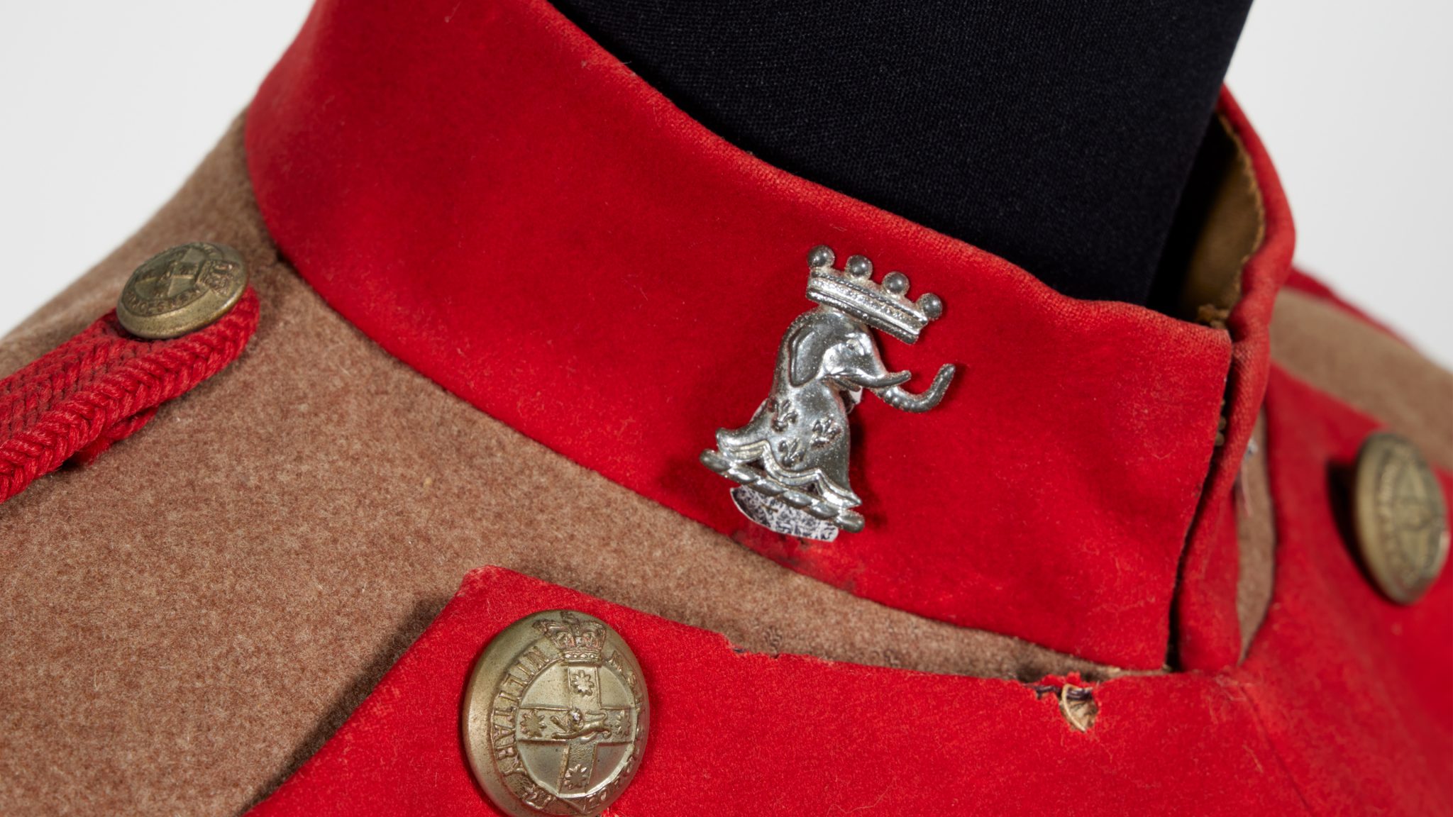 A Berry Boy in Africa - Storyplace